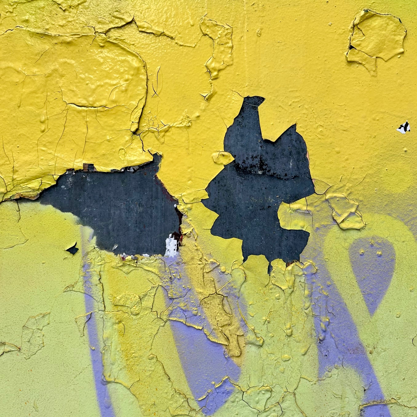 Meet “The Flâneur” – My Second Running Life